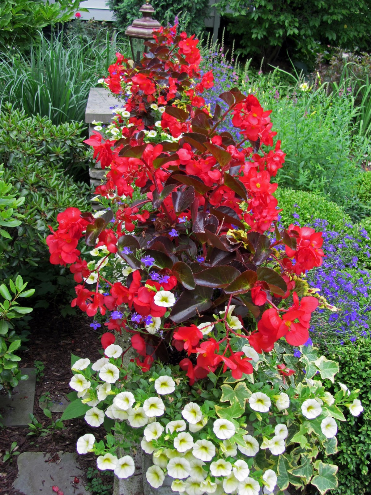 Gatsbys Gardens: Containers - The Year Of The Begonia