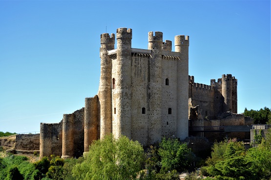 Castillos y fortalezas: Castillo de Valencia de Don Juan (León)
