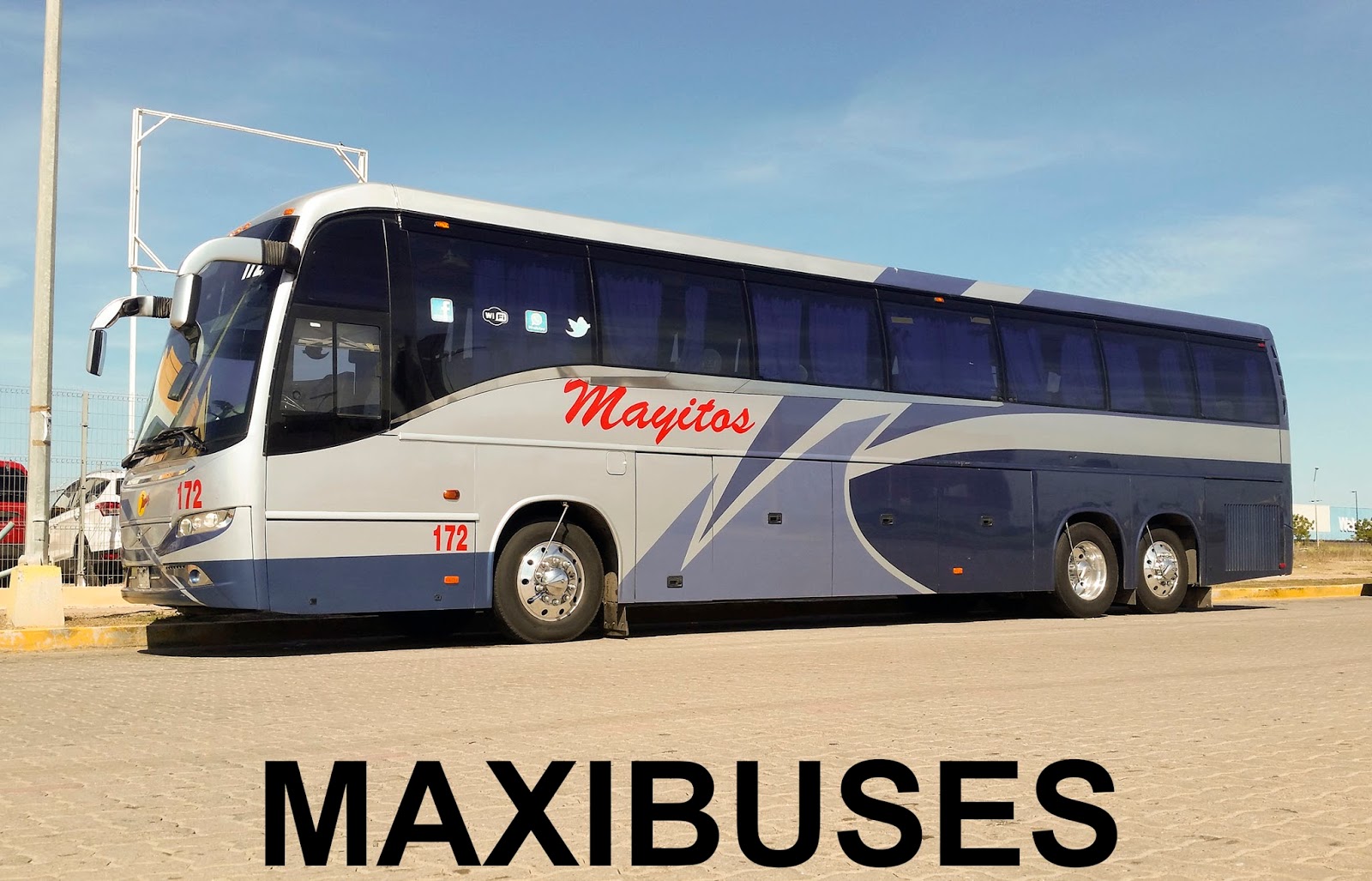 MAXIBUSES: AUTOBUSES LOS MAYITOS