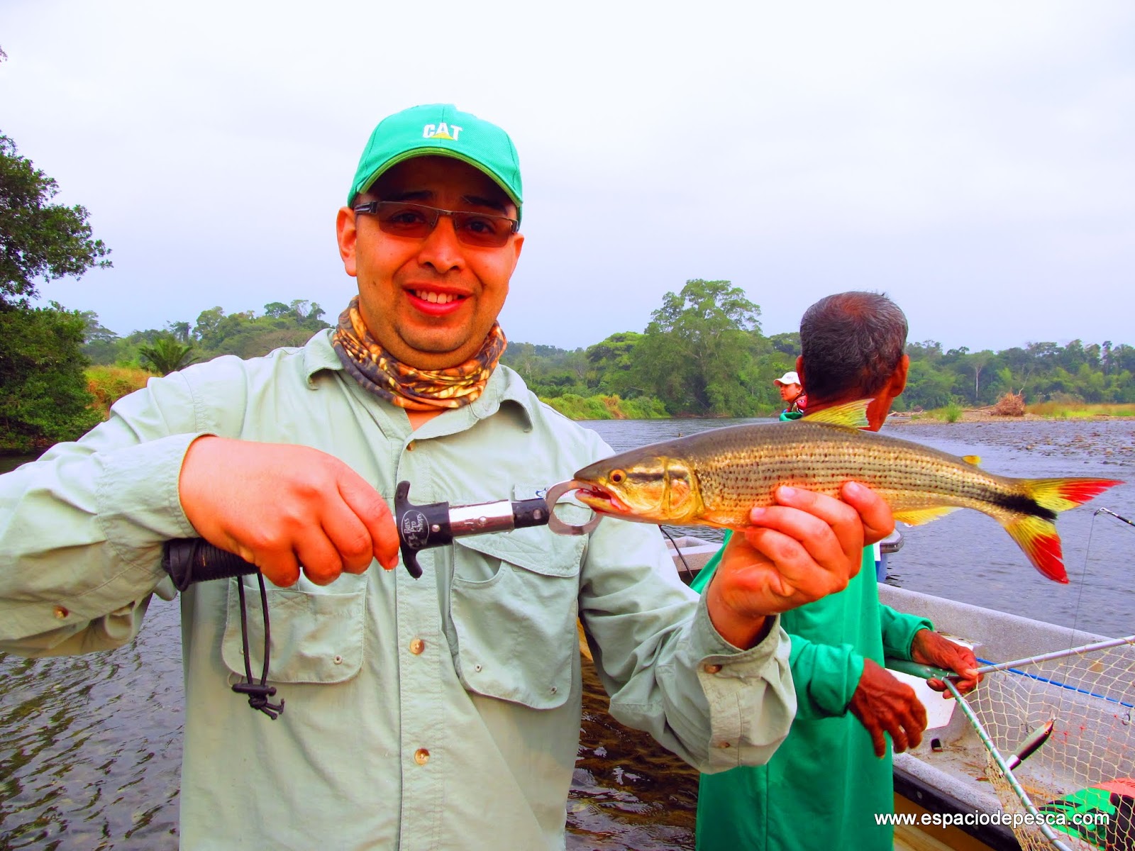 Espacio de Pesca: Pesca de Picuda en el Rio La Miel - Salminus affinis ...