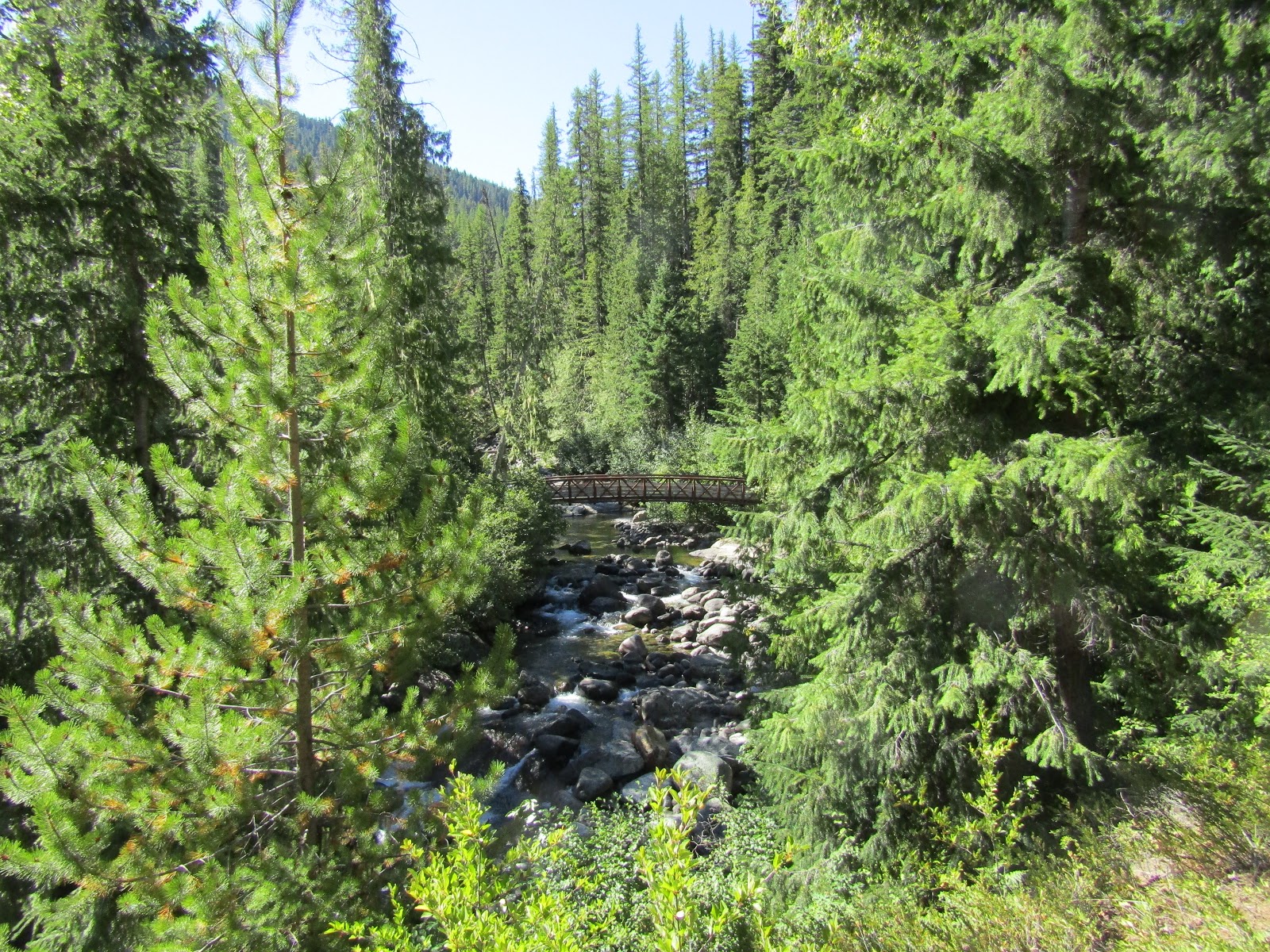 Holly's Horse Tales and Trails: Black Pine and Conrad Meadows Horse ...