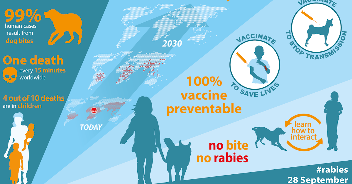Health Observation: Rabies Awareness