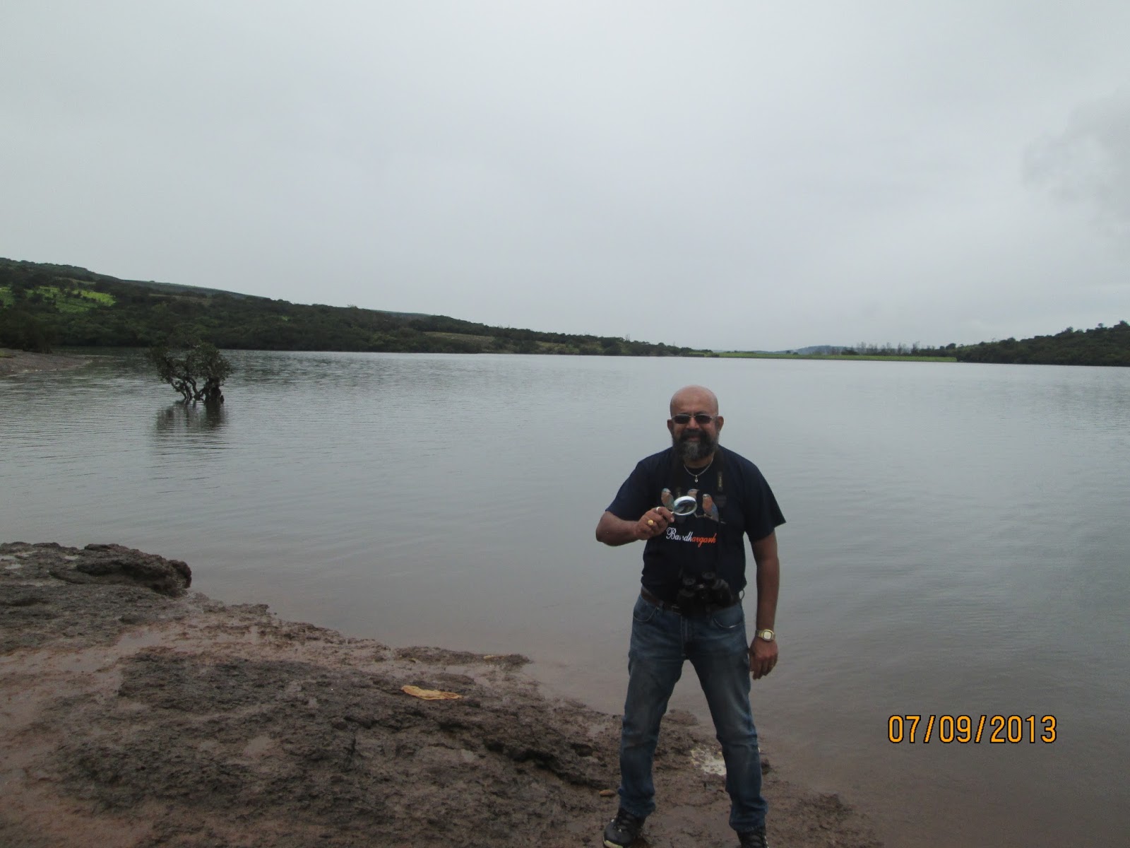 Flowers of Kaas Plateau in Maharashtra.: "KAAS PLATEAU", abode of ...