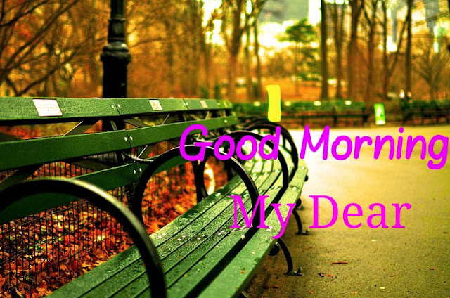 Top 10 Good Morning My Dear Images greeting Pictures,Photos for ...