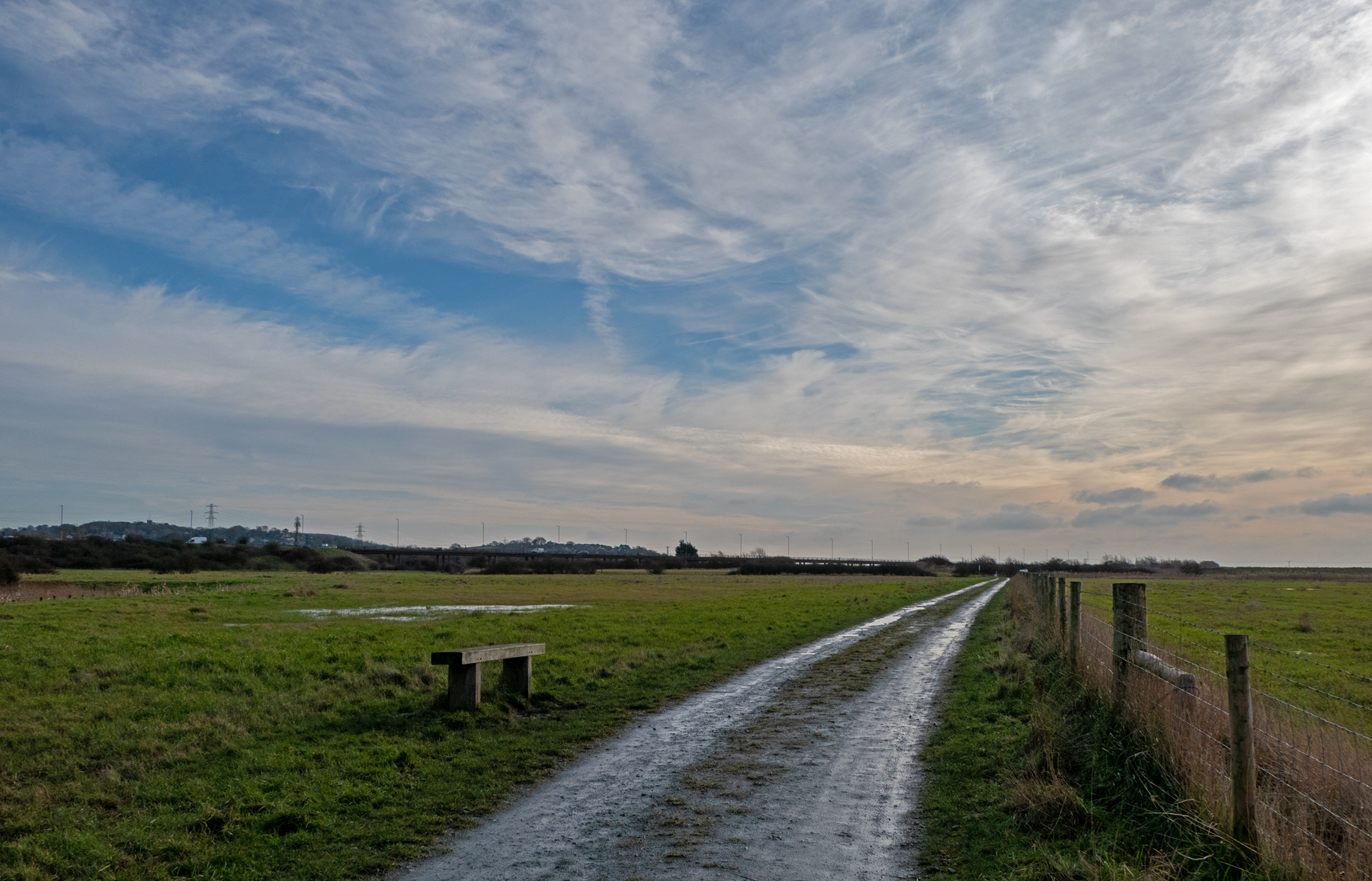 Bowers Marsh walk, January 2021 No. 7