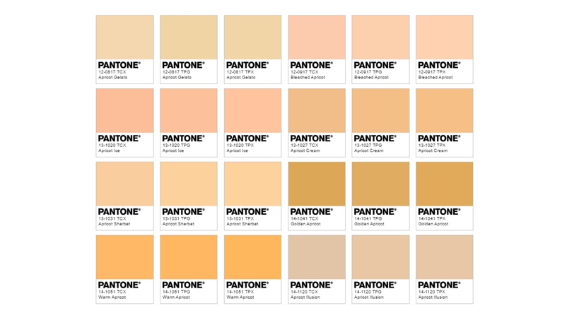 ALBICOCCA: STEP. 3 I codici del colore