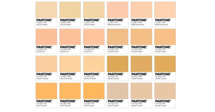 ALBICOCCA: STEP. 3 I codici del colore