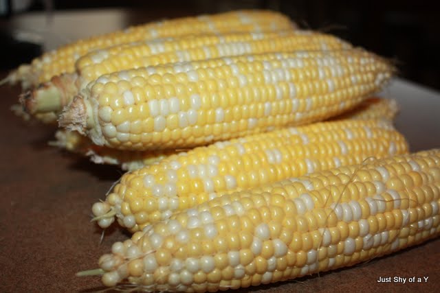 Just Shy of a Y: corn on the cob
