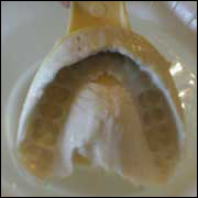 How To Make Fangs Tutorial