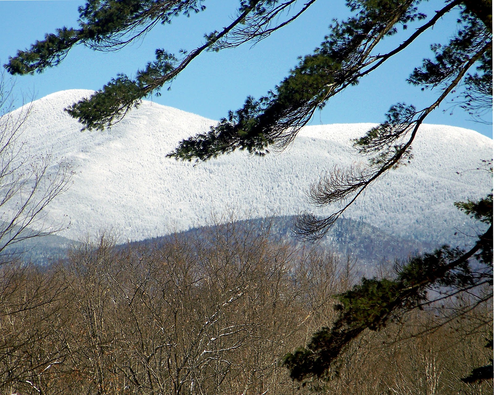 Bernice's Pictures: white capped mountains