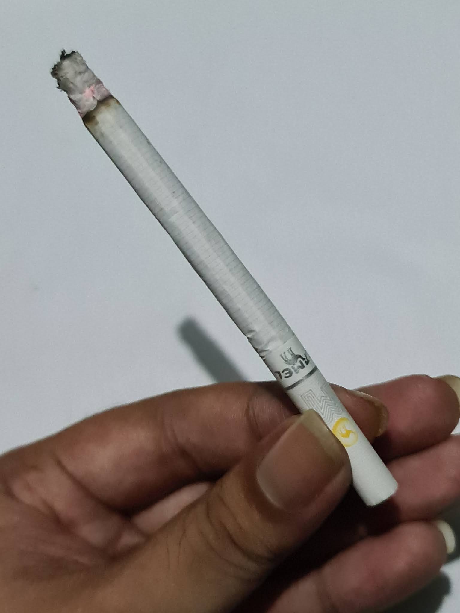 Camel Mild Option Yellow Kretek 12, SKM LTLN Pertama Di Indonesia ...