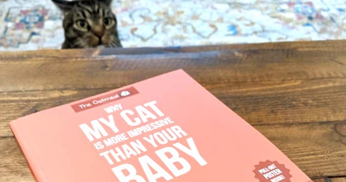 Bookfoolery : Mini reviews - Why My Cat Is More Impressive Than Your ...