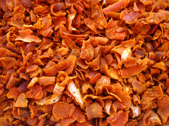 Buriti a fruta amiga da saúde