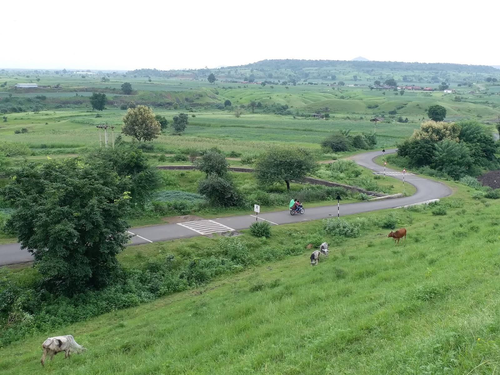 ramblersnaps: Majestic Malwa