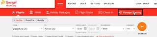 How to download Spicejet ticket online?