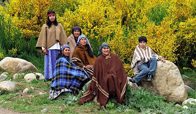 Cisnes y Rosas: Mapuches, Hombres de la Tierra