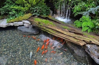 47 Beautiful Fishpond Design for Backyard | ARA HOME