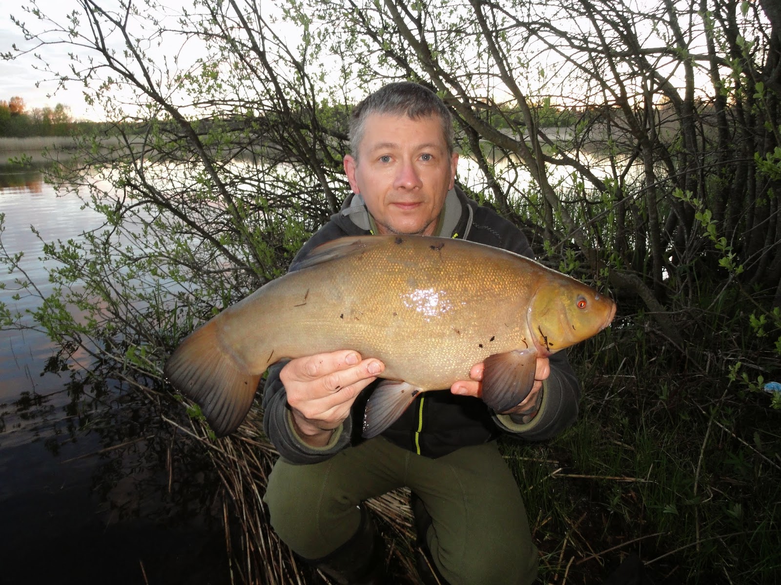 Nickes fiske: Sutarefiske med fin toppfisk.