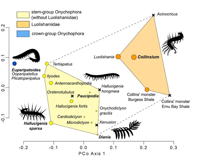 Species New to Science: [Paleontology • 2015] Collinsium ciliosum • A ...