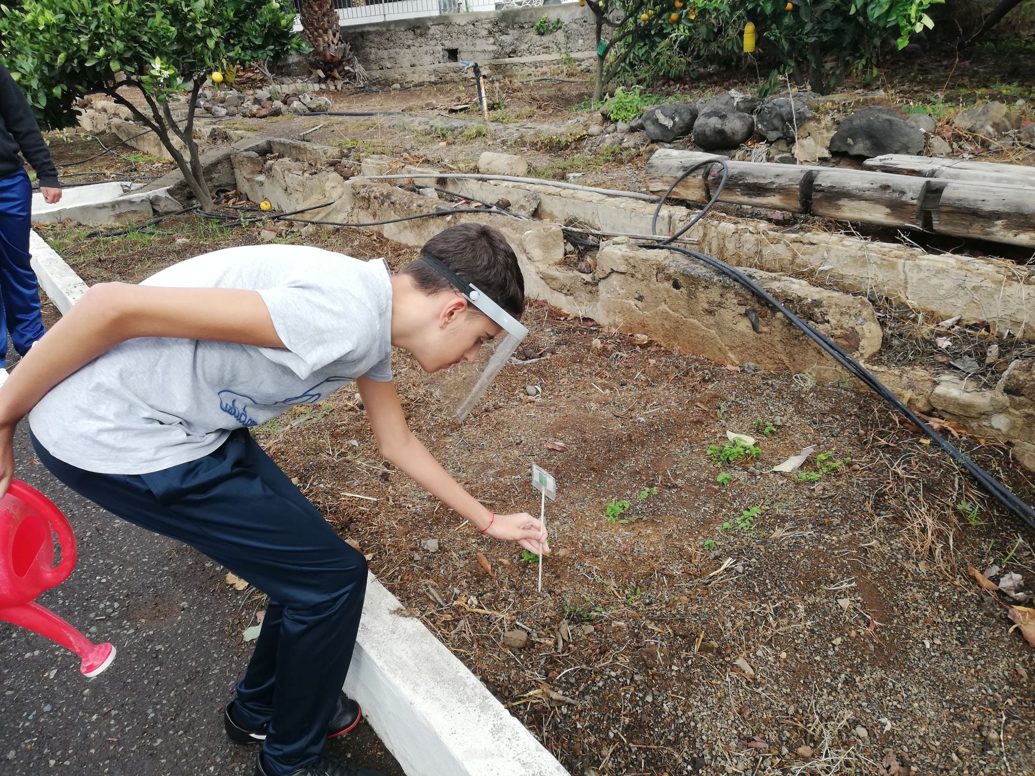 Mi Colegio Civitas Tva Plantando Nuestro Huerto