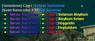 MTA FREEROAM F1 PANEL