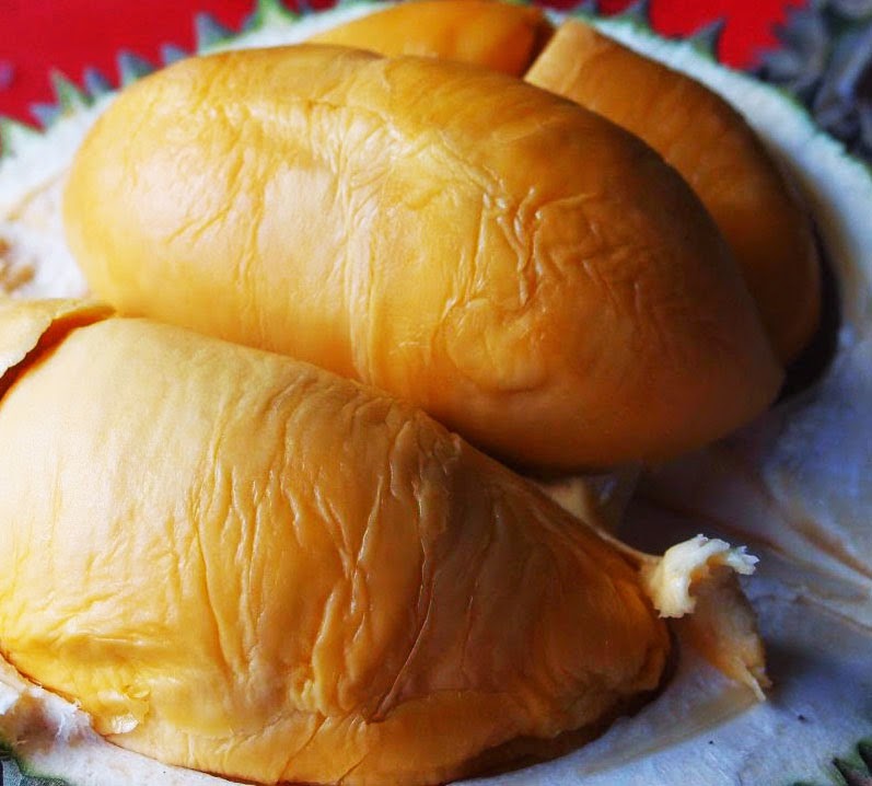 Hamparan Seni: Panduan Menanam Durian