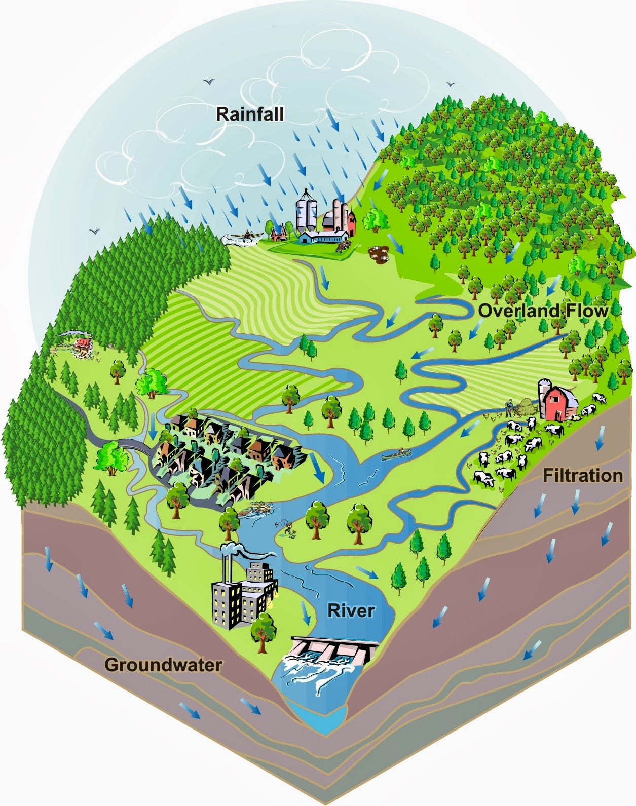 Alliance for Watershed Action and Resource Education: What is a Watershed?
