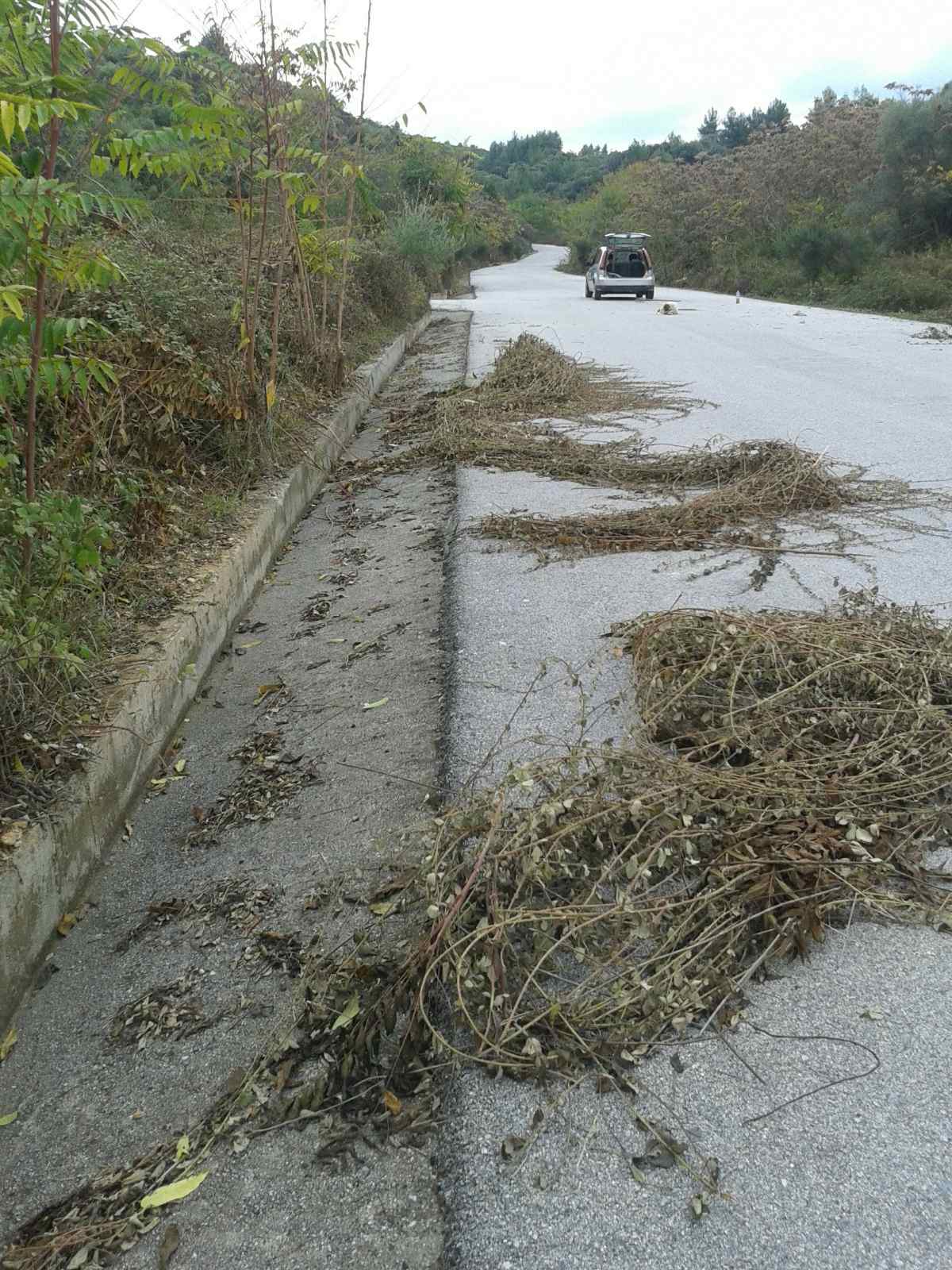 ΠΑΡΑΘΕΡΙΣΤΙΚΟΣ ΟΙΚΟΔΟΜΙΚΟΣ ΣΥΝΕΤΑΙΡΙΣΜΟΣ ΠΡΟΣΩΠΙΚΟΥ ΕΛΔΑ "Αλκυόνη ...