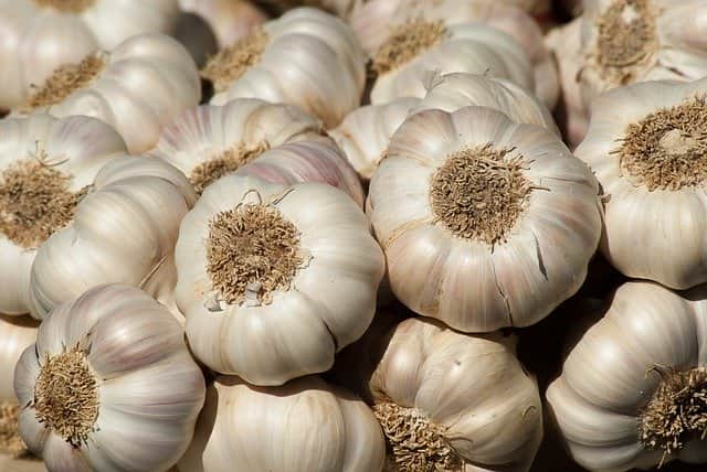 Garlic health benefits and uses