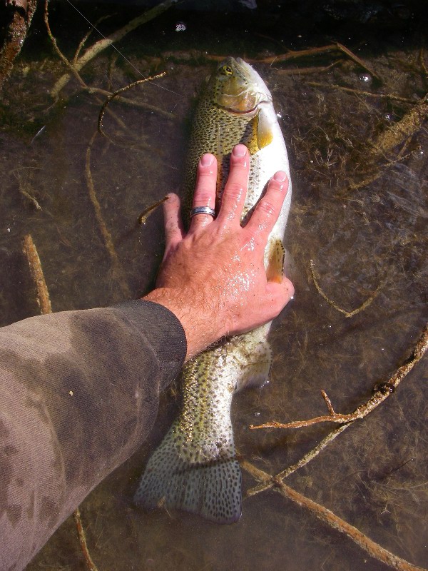 Utah Water Log: Miller Flat Road