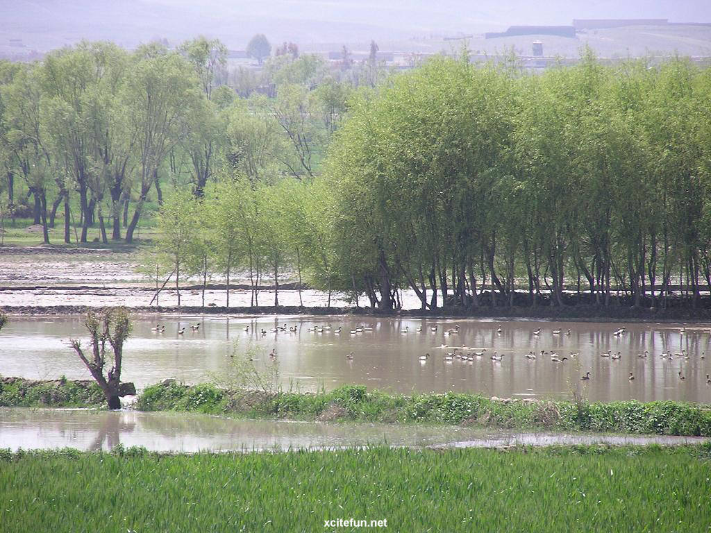 Kurram Valley FATA Area Pakistan Images Hub ~ Leep Fun