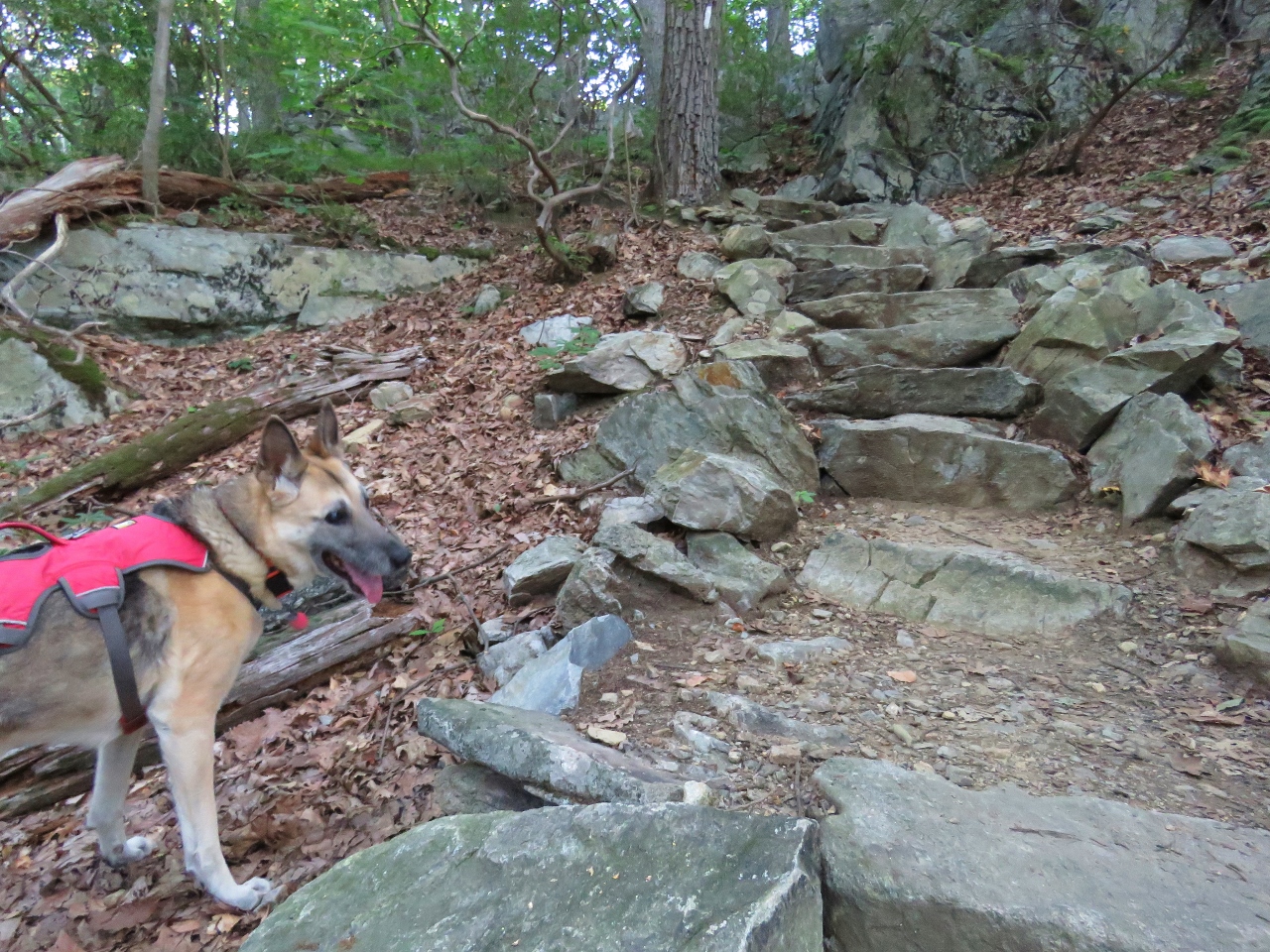 Gone Hikin': Fahnestock State Park, NY - Canopus Lake
