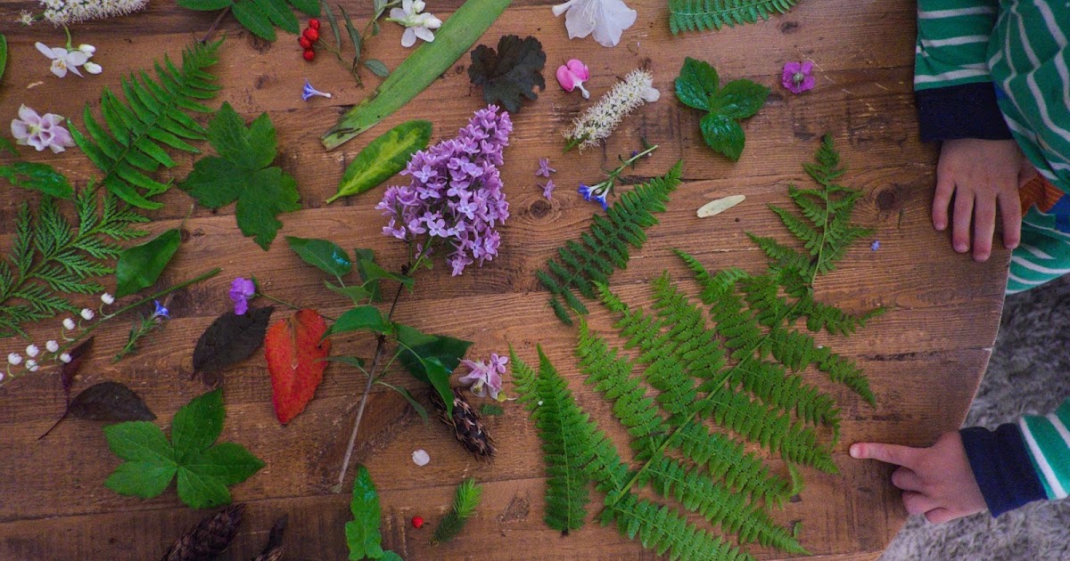 Domestic Fashionista: The Great Outdoors: Preschool Lesson Plan