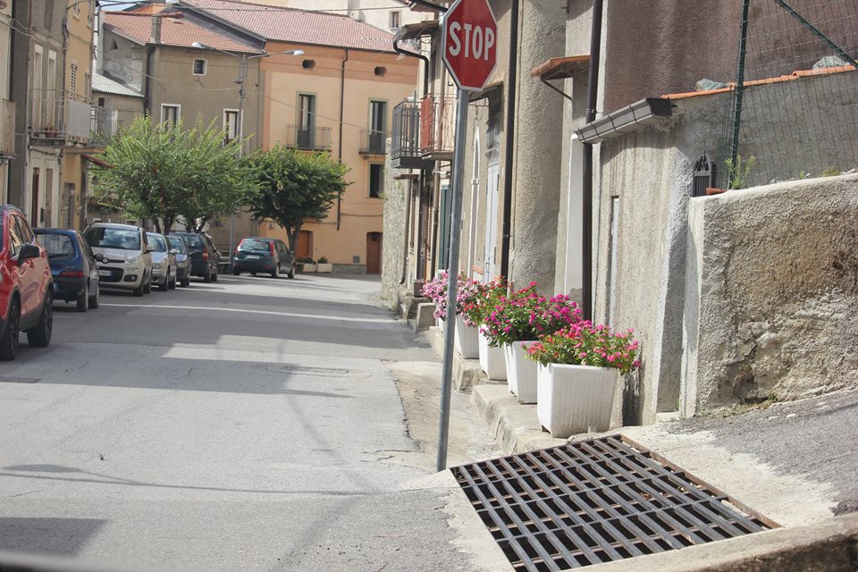 Dialetto Conflentese: Fioriere a Conflenti.