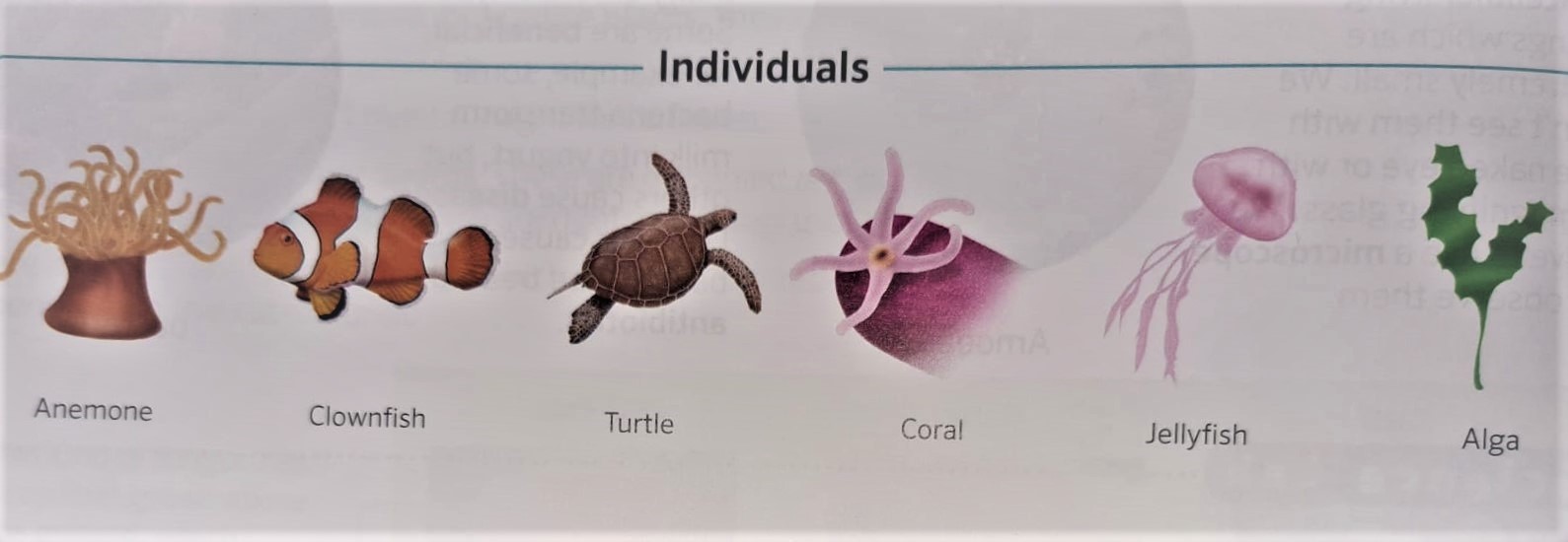 BLOG 5º CEIP Daniel Martín: NATURAL SCIENCE 13-10-20