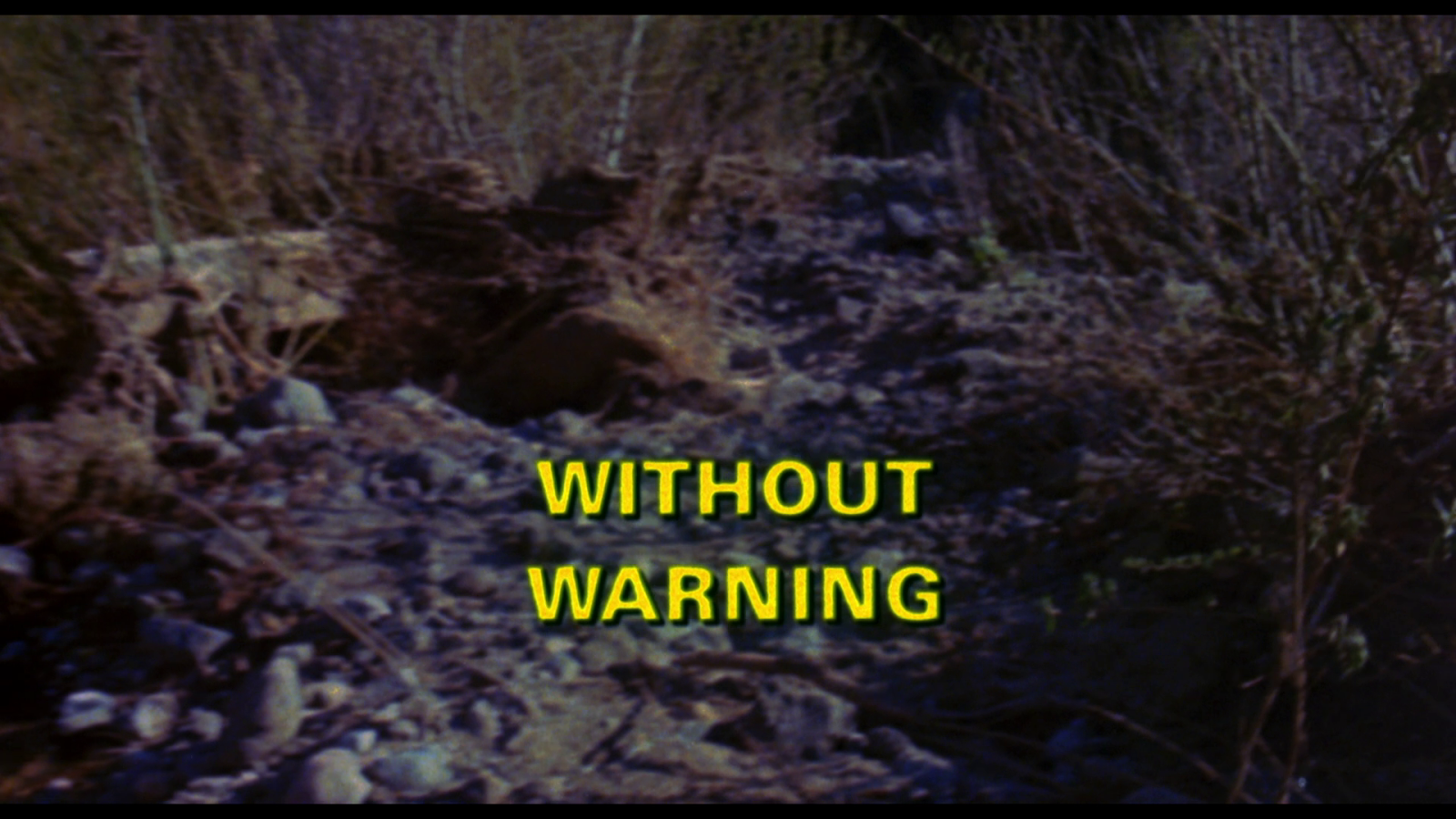 Cool Ass Cinema: Without Warning (1980) review