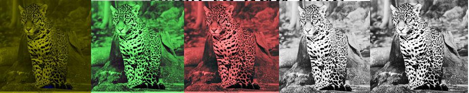 Image Processing: RGB channel Equalixzation for 8-bit & 24-bit