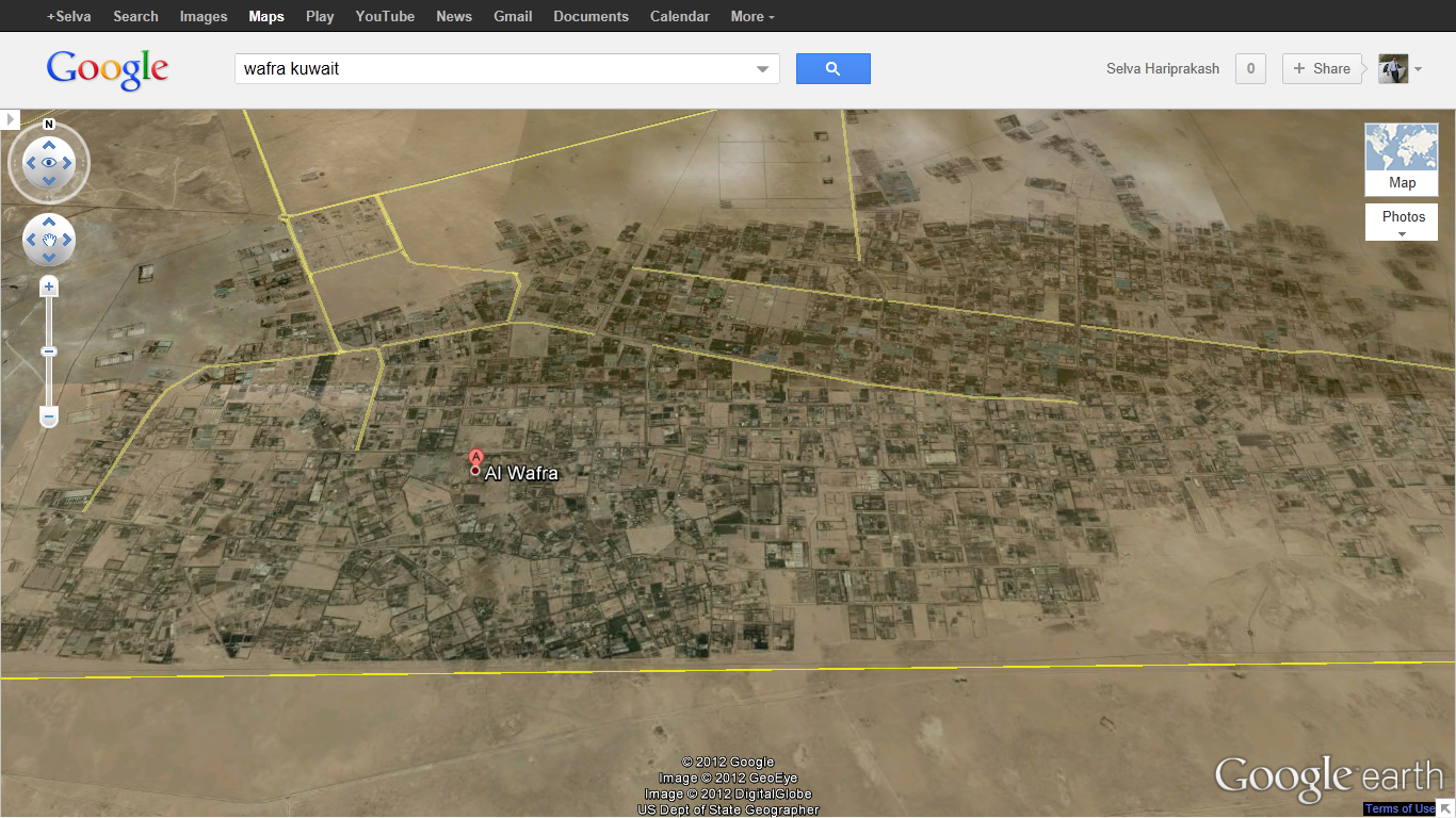 Kuwait: Vegetation In Kuwait