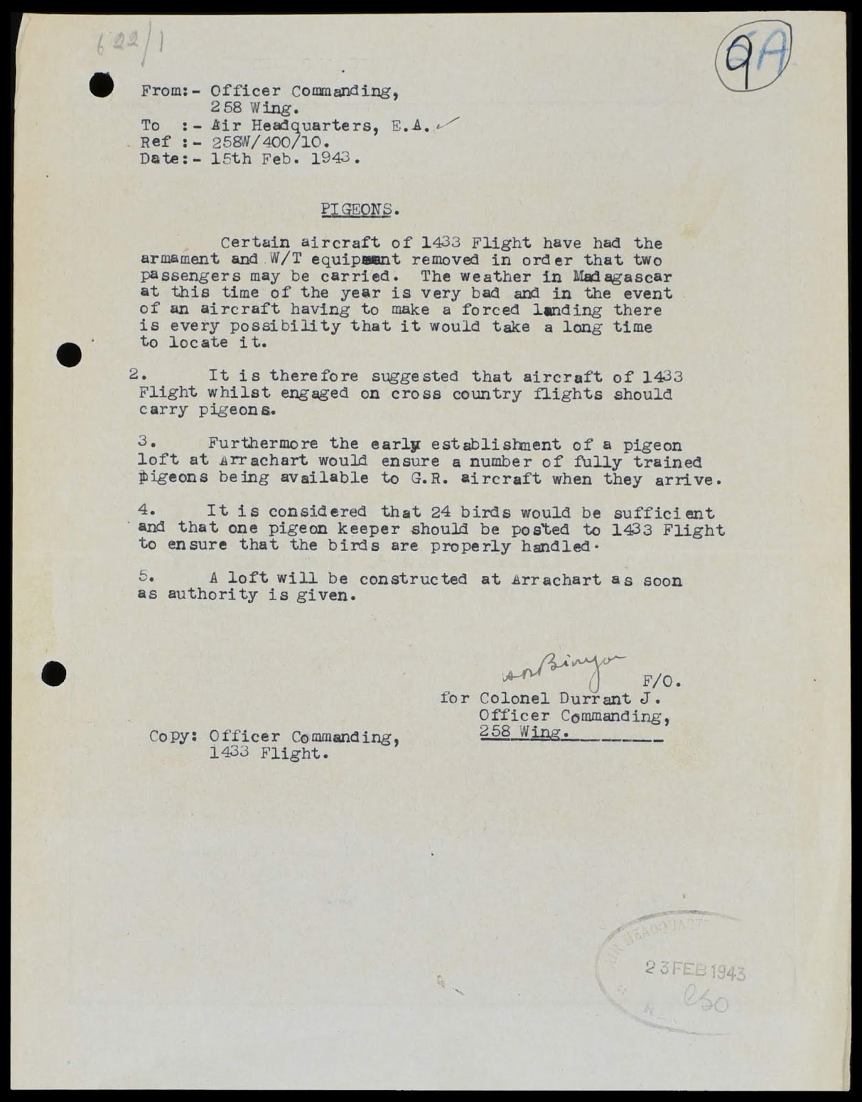 World War 2 History and the WW2 Pigeons: Have the pigeons arrived ...