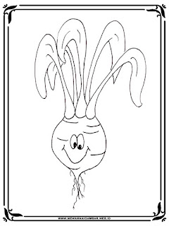 Mewarnai Gambar Lobak | Mewarnai Gambar