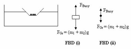 AP Physics Resources: Free Body Diagrams for AP Physics B and C