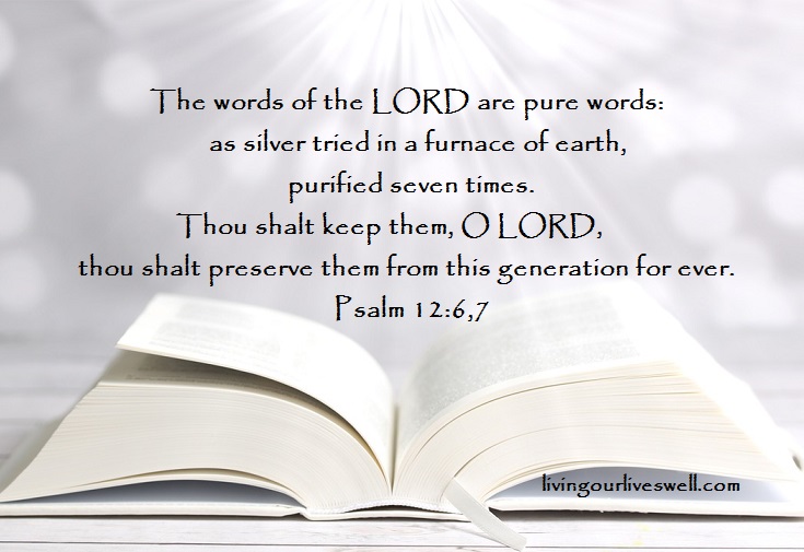 Living Our Lives Well Promises From Psalms Psalm 12 6 7