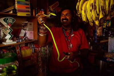 Snake Shyam : Snake Enthusiast, Wildlife Conservationist & Lecturer ...