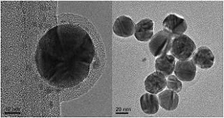 Curiosidades de la Microbiología: Silver Surfer contra los Microbios