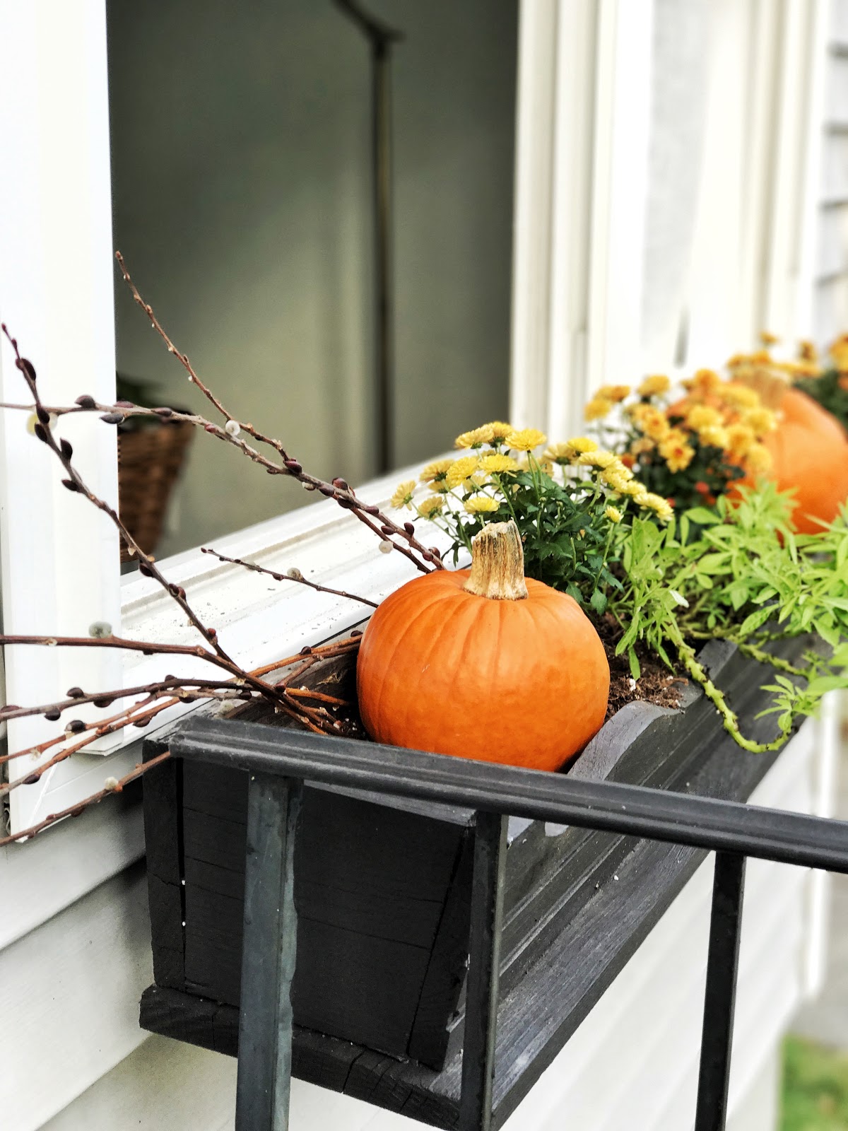 Fall Curb Appeal: How to fill a Window Box for under $20 - Made by Carli