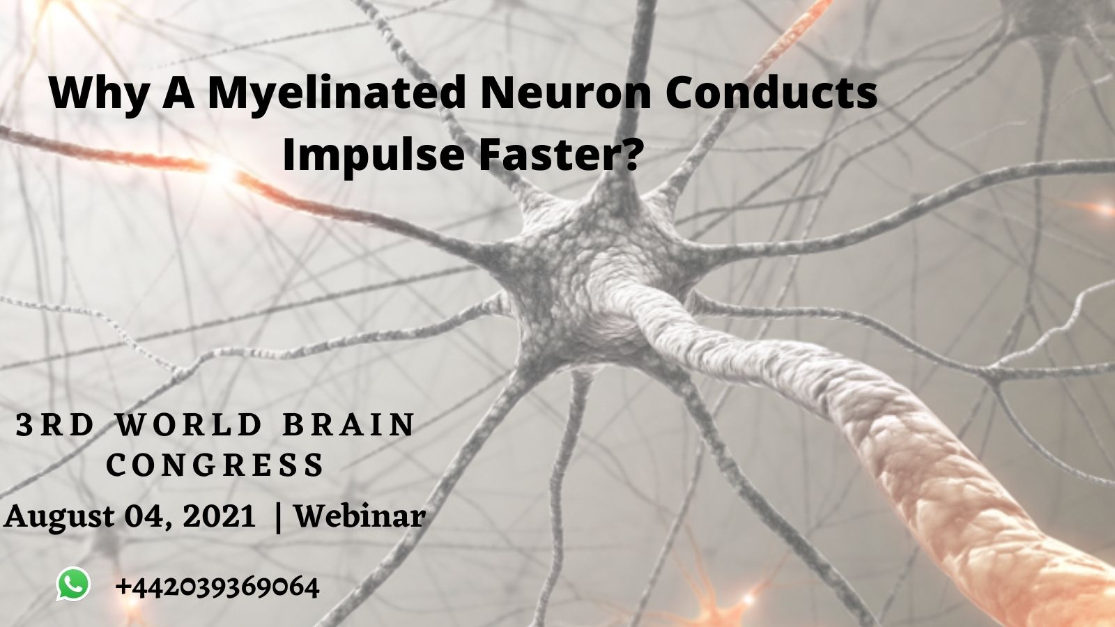 Why A Myelinated Neuron Conducts Impulses Faster?