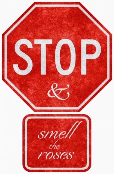 #30's!Destination-'Life Overall': Stop and smell the Roses!