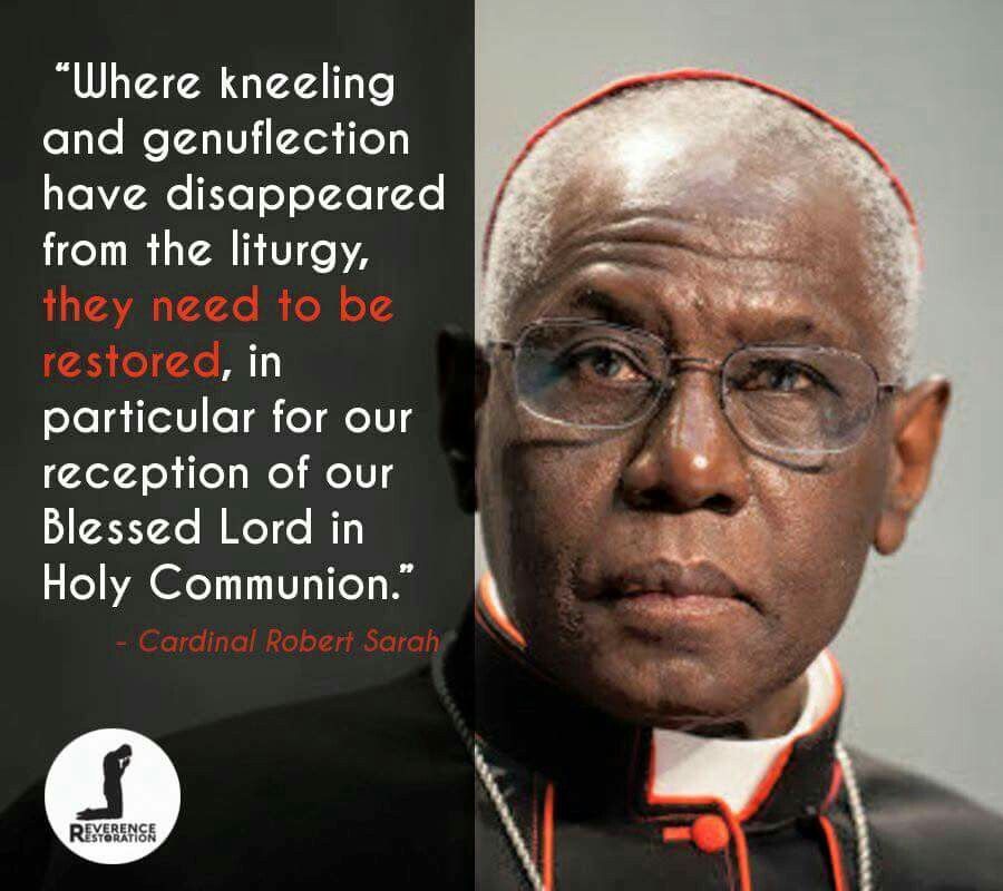 The Essential Quotes of Robert Cardinal Sarah