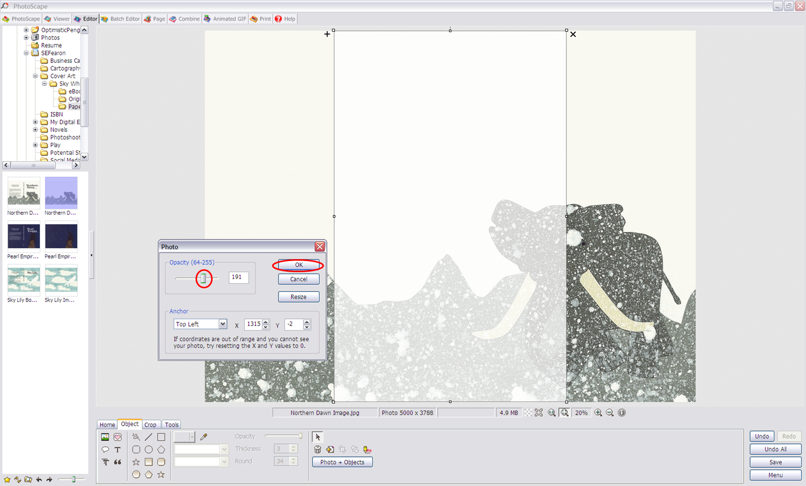 How to create a book cover using free photo editing software | S. E. Fearon