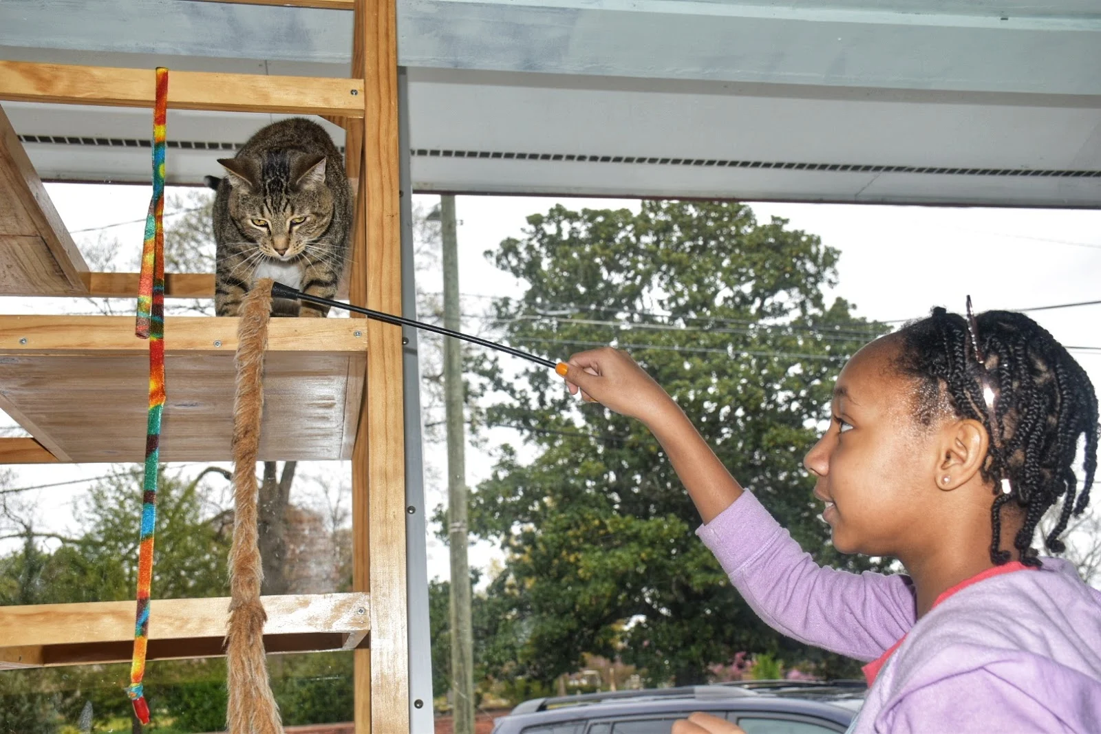 Our First Exciting Experience at Java Cats Cafe Atlanta